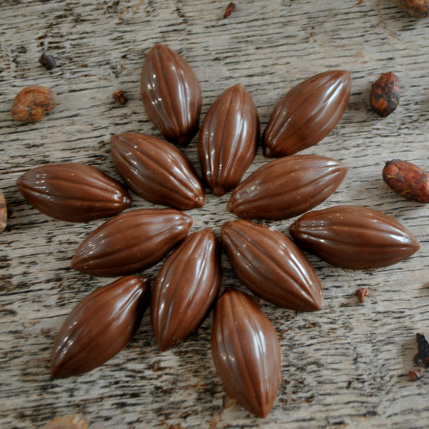Chocolate Cocoa Pods – York Cocoa Works